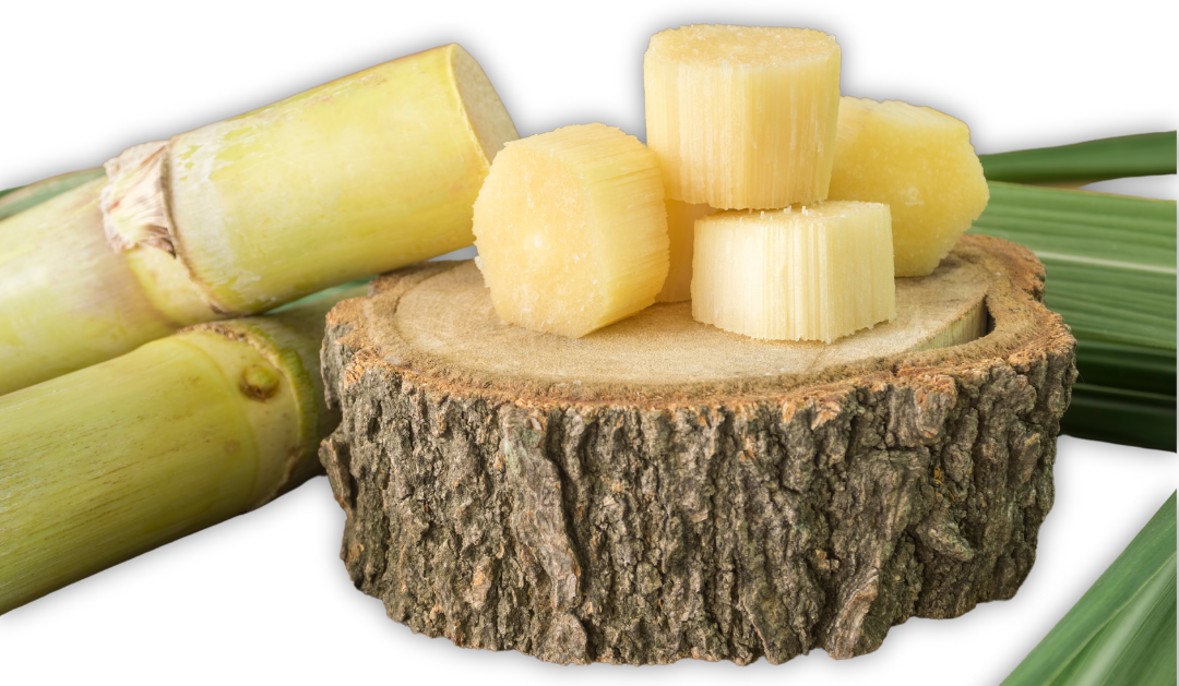 Bio-Laminate: Balancing the Pros and Cons | EcoPackables