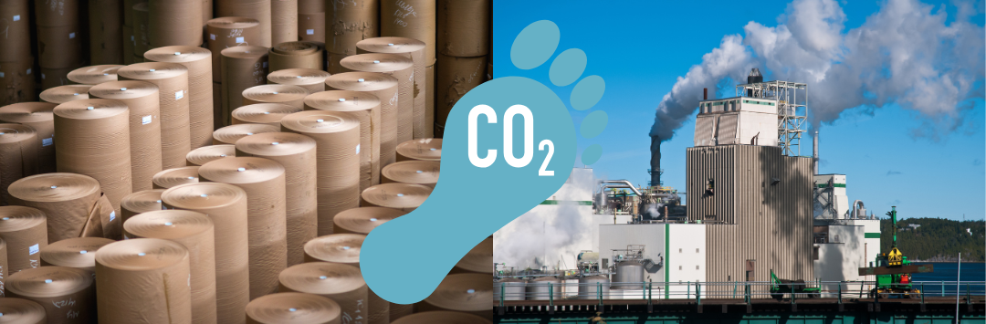 How Sustainable Packaging Can Help Reduce Your Carbon Footprint ...